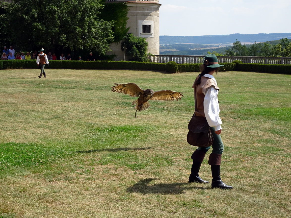 Die traditionelle Falknerei in der Waldviertler Rosenburg - panoramabox.at